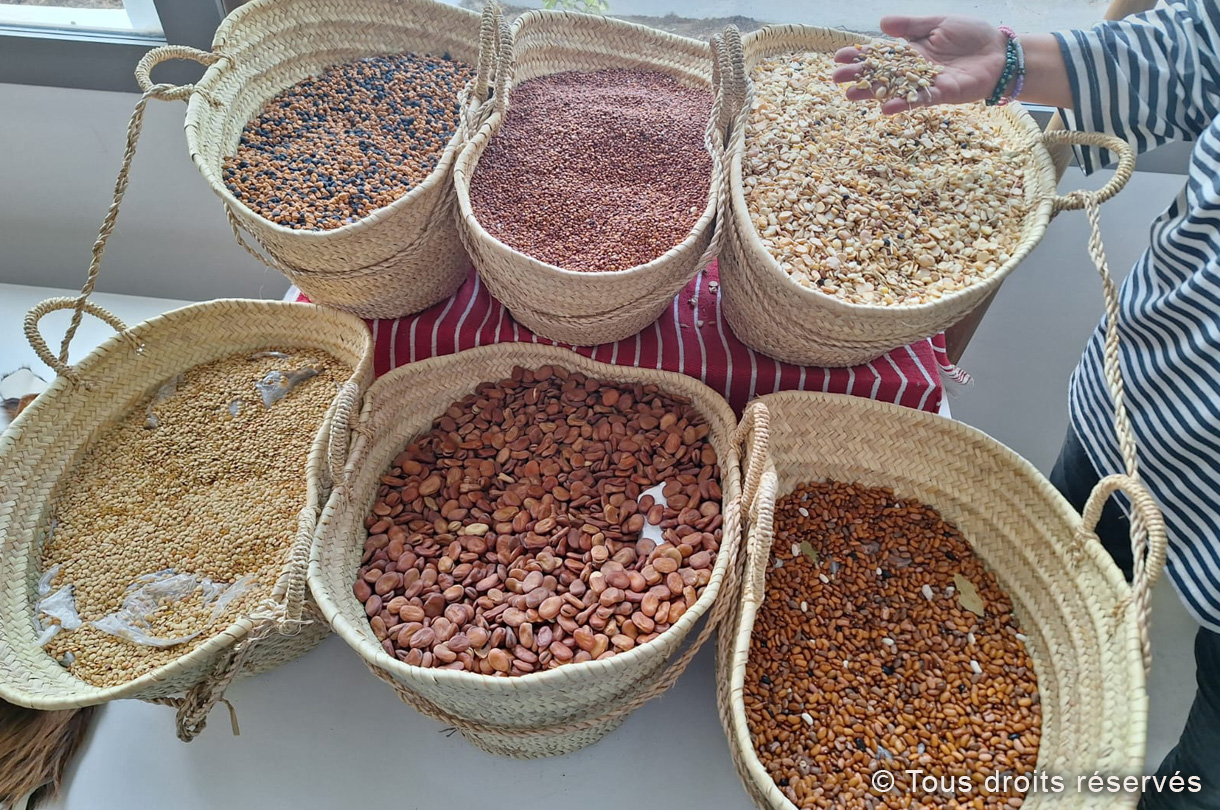 La Maison de la Diète Méditerranéenne de Chefchaouen, un projet tourné ...